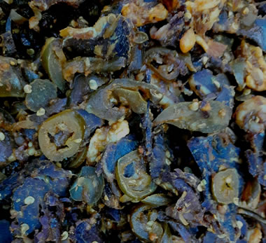 Home [besterbutchery.co.za]